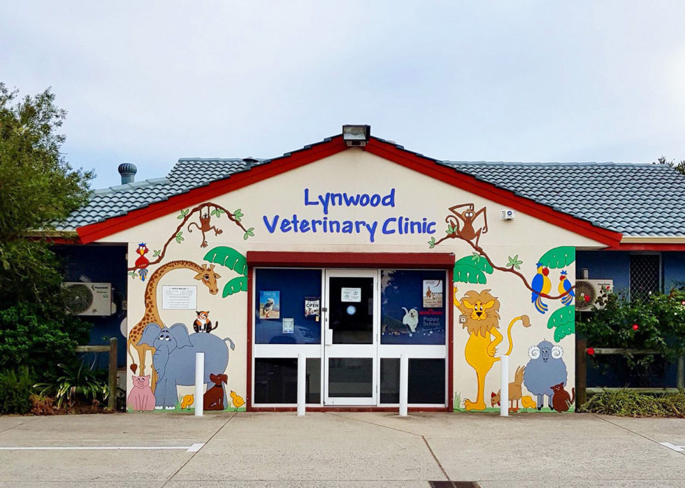 Lynwood Veterinary Clinic | Quality pet care | Open 6 days a week